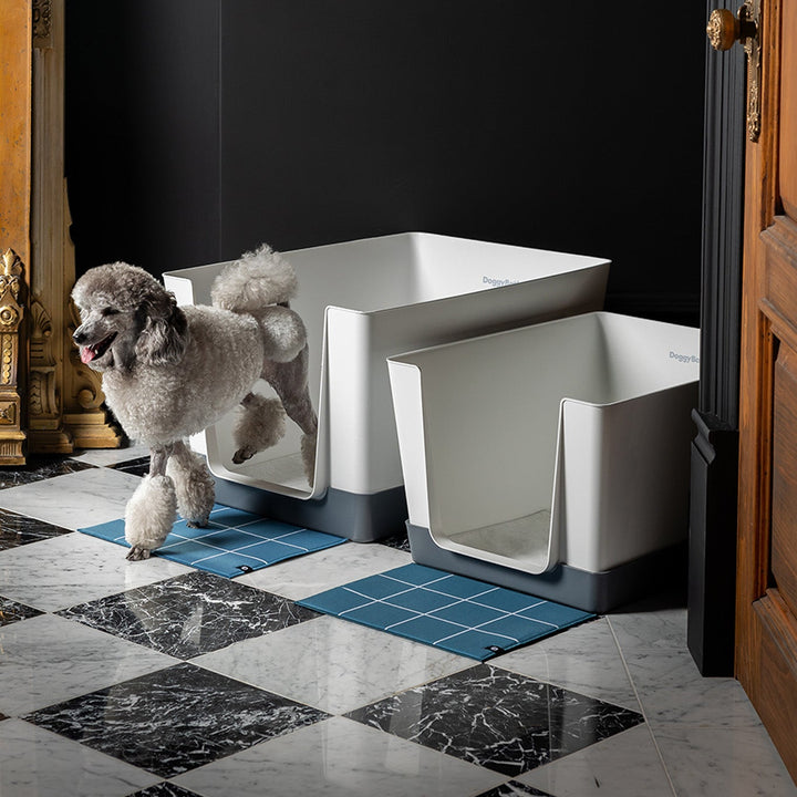 Premium Dog Products for Small Dogs | BIO•SPA & Doggy Bathroom – Doggy ...